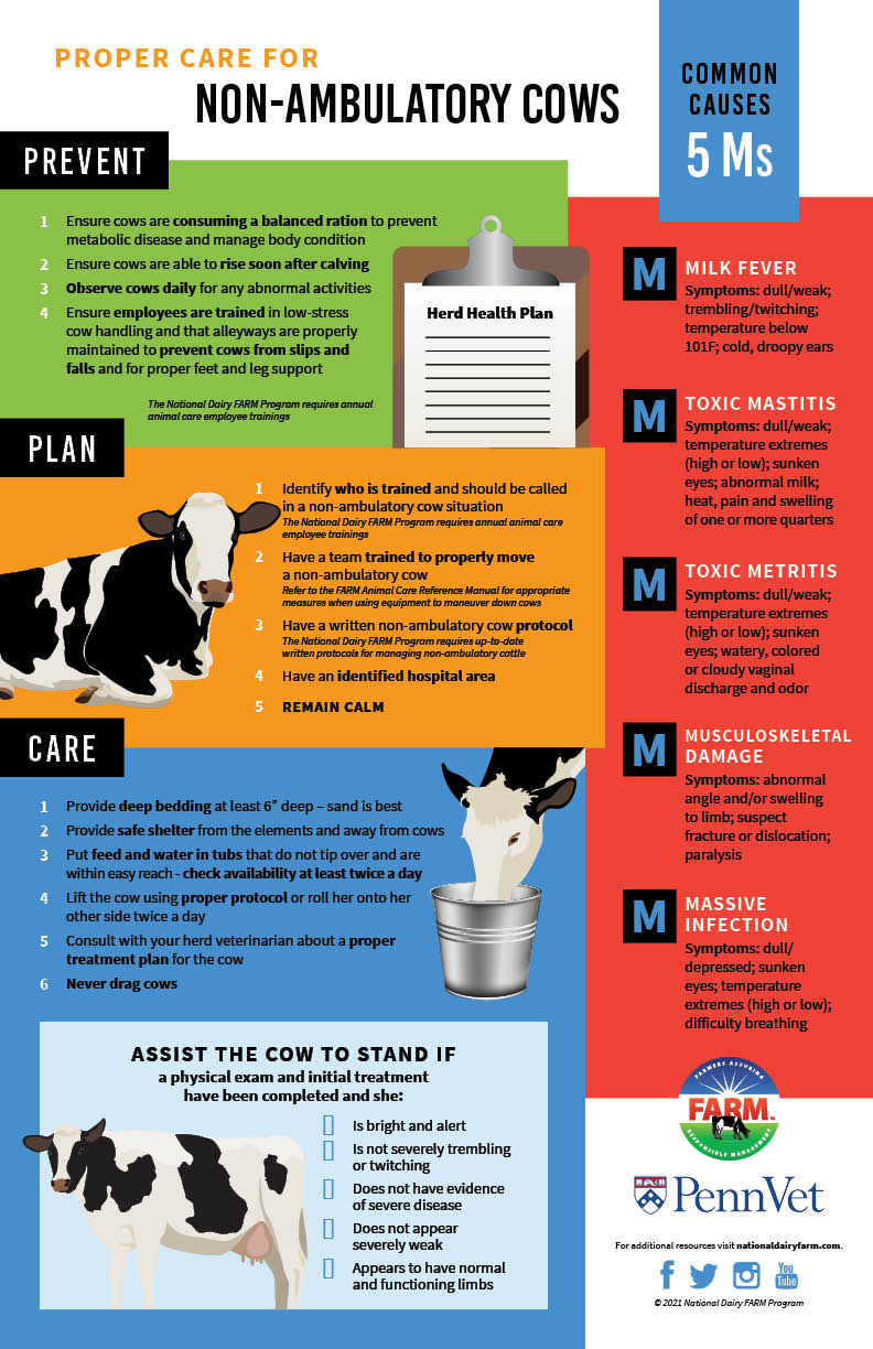 Animal Care | National Dairy FARM Program
