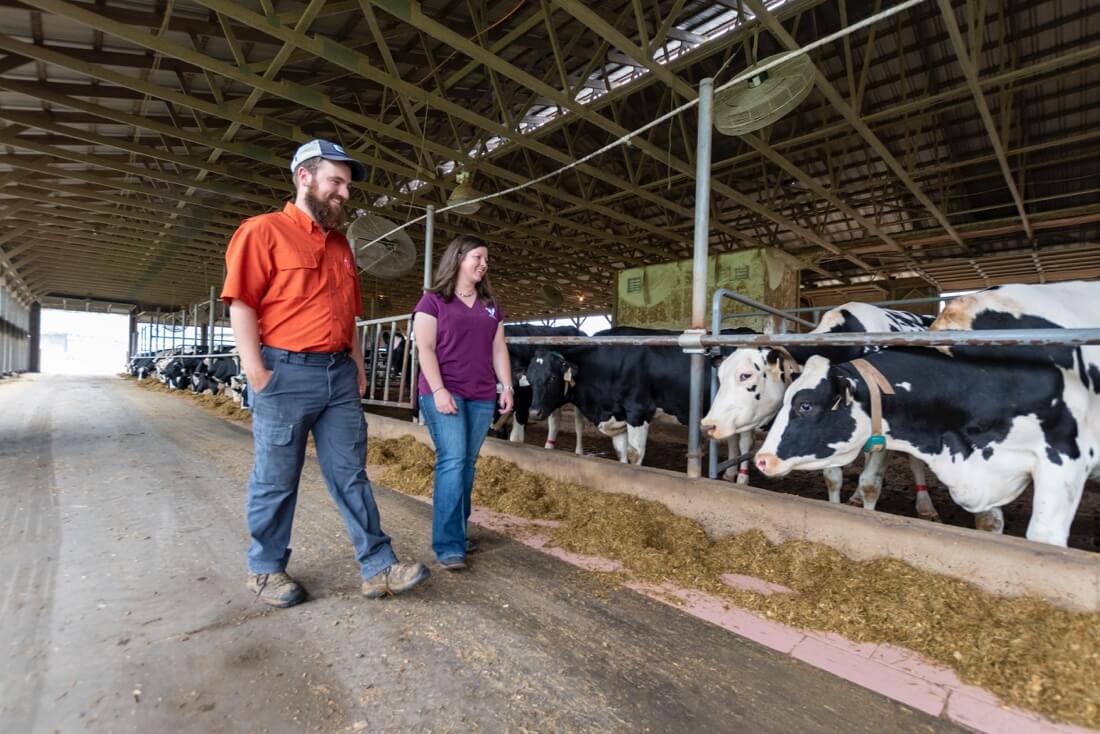 Homepage - National Dairy Farm