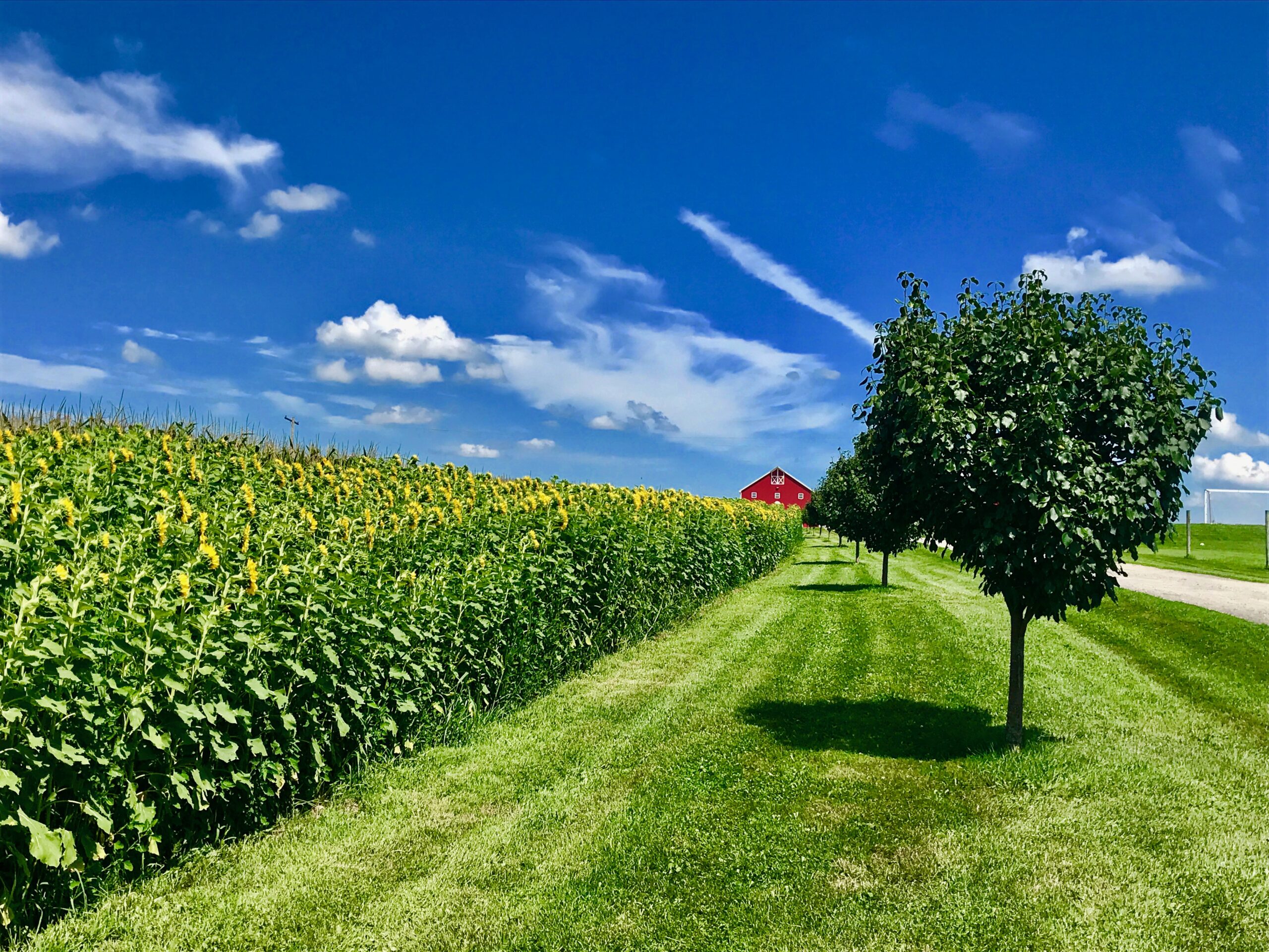 Twin Mill Farms: Milking Life for All It's Worth - National Dairy FARM ...