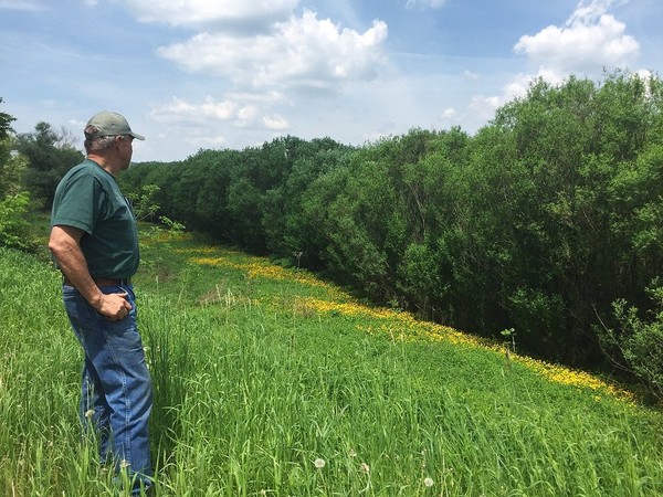 CNY farm with 'Taj Mahal' manure system wins national sustainability ...